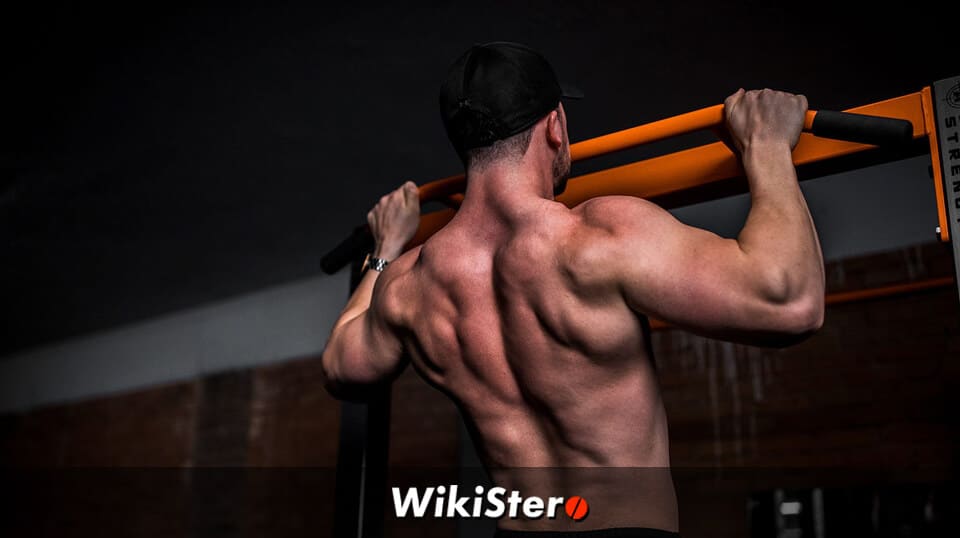 La guida definitiva all'uso di Clomid per la terapia post-ciclo (PCT ...